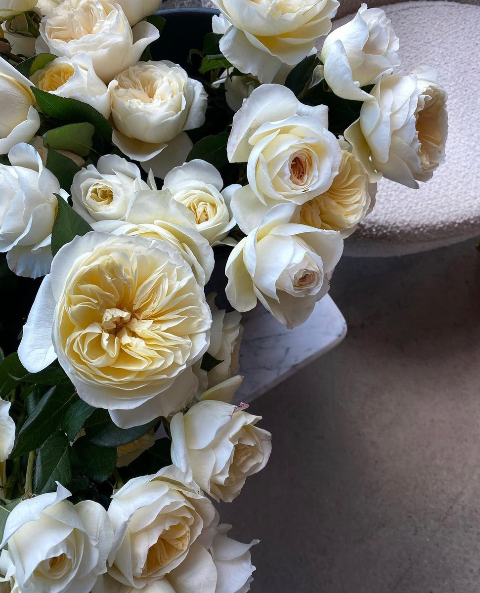 Loose Stems/Cake Flowers – Mother Of Wild Flower House